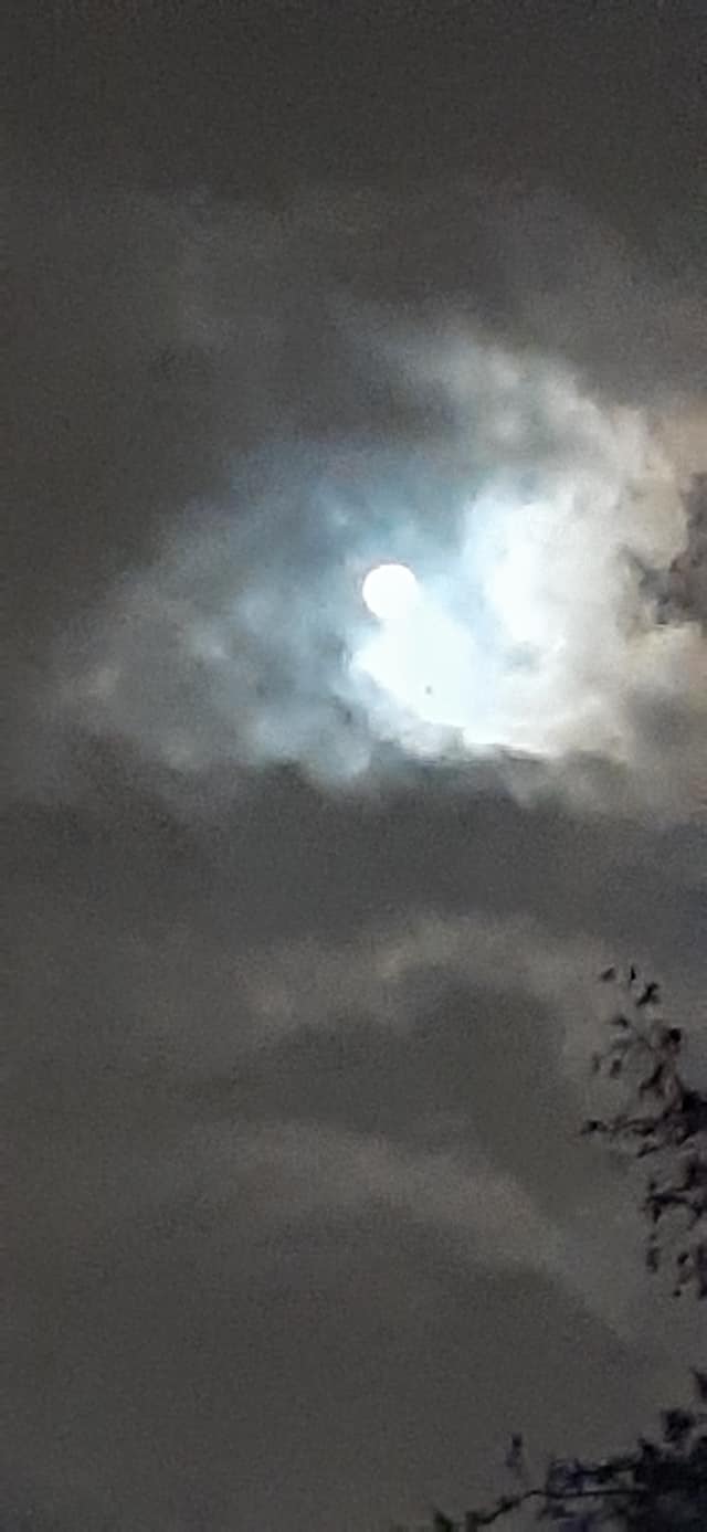 Halloween and the Full Blue Moon 2020 – Adventures of Dit Dot